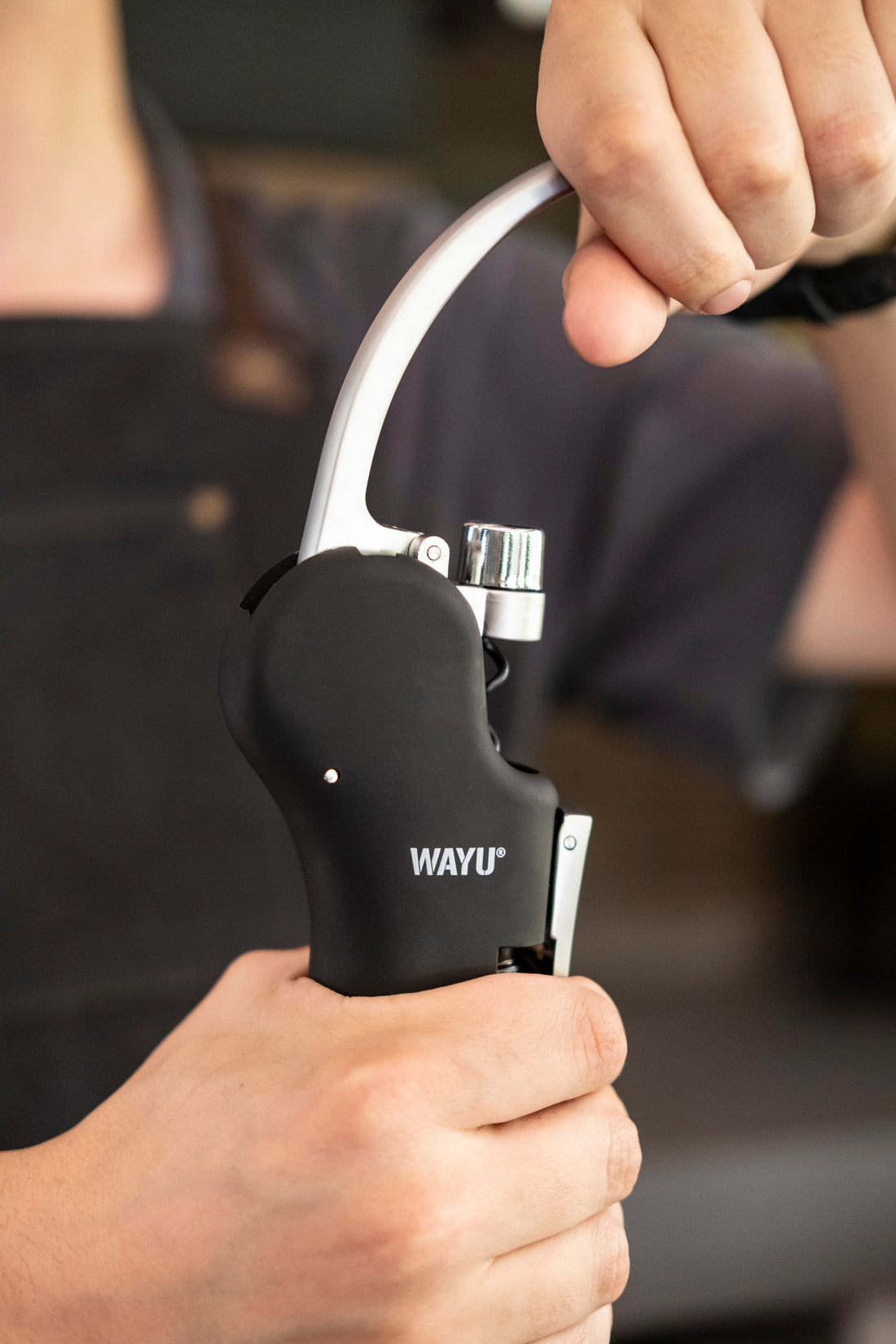 Productos – Wayu cl